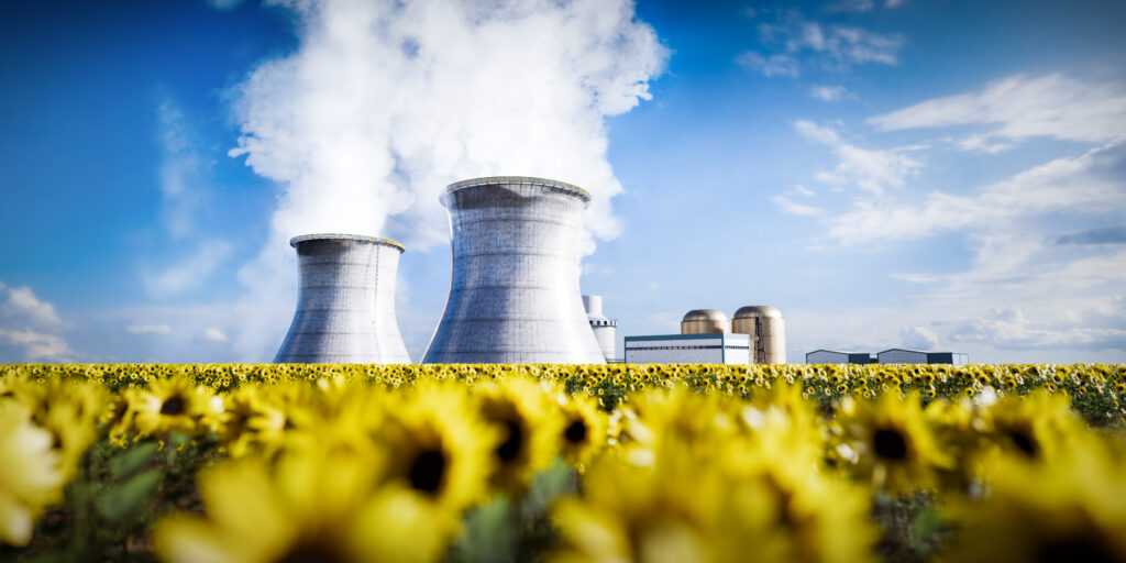 Repowering Coal-Fired Power Plants for Advanced Nuclear Generation ...